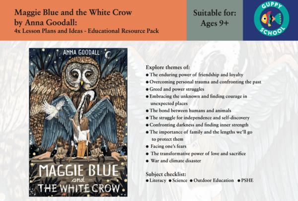 Teaching resource Maggie Blue
